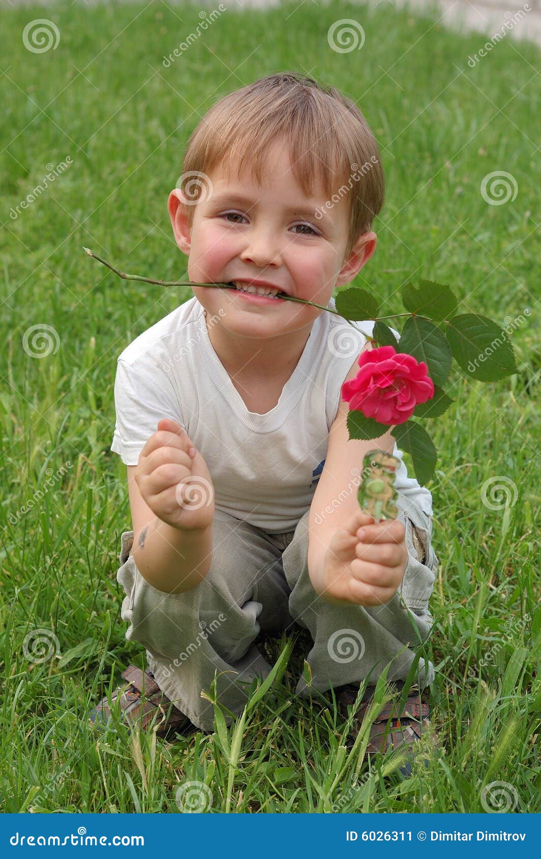 Boy with rose stock image. Image of holding, plays, squatting - 6026311