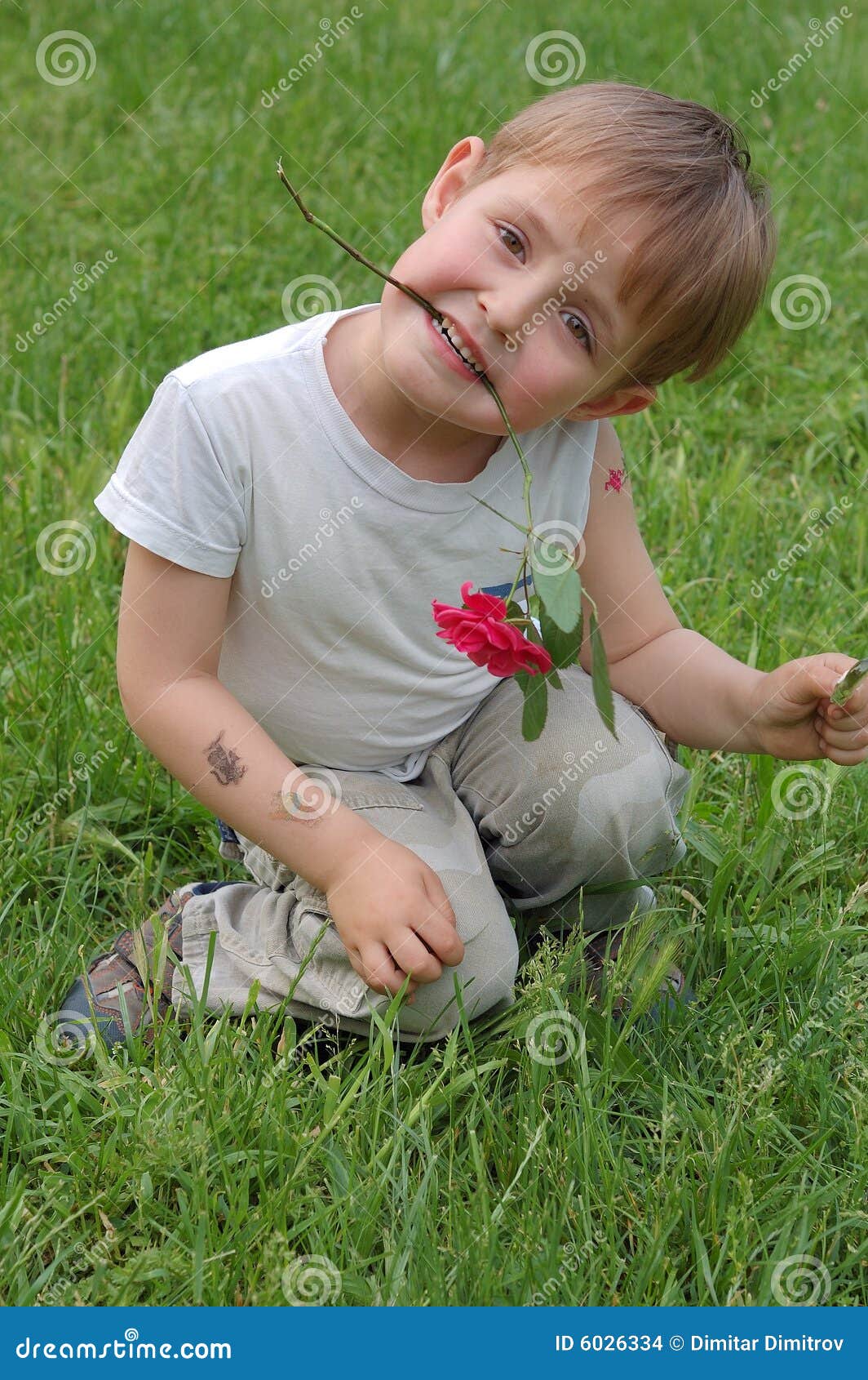 Boy with rose stock photo. Image of outdoors, child, small - 6026334