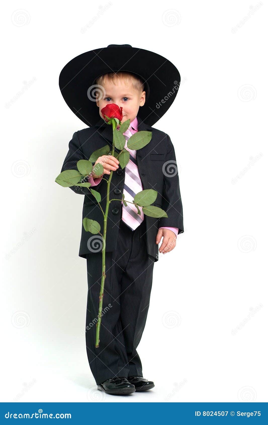 Boy with rose stock image. Image of dating, expression - 8024507