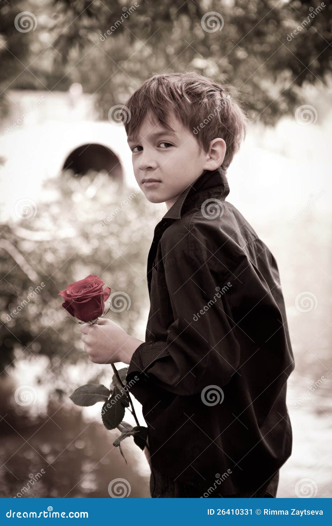 Boy with rose in his hand stock image. Image of park - 26410331