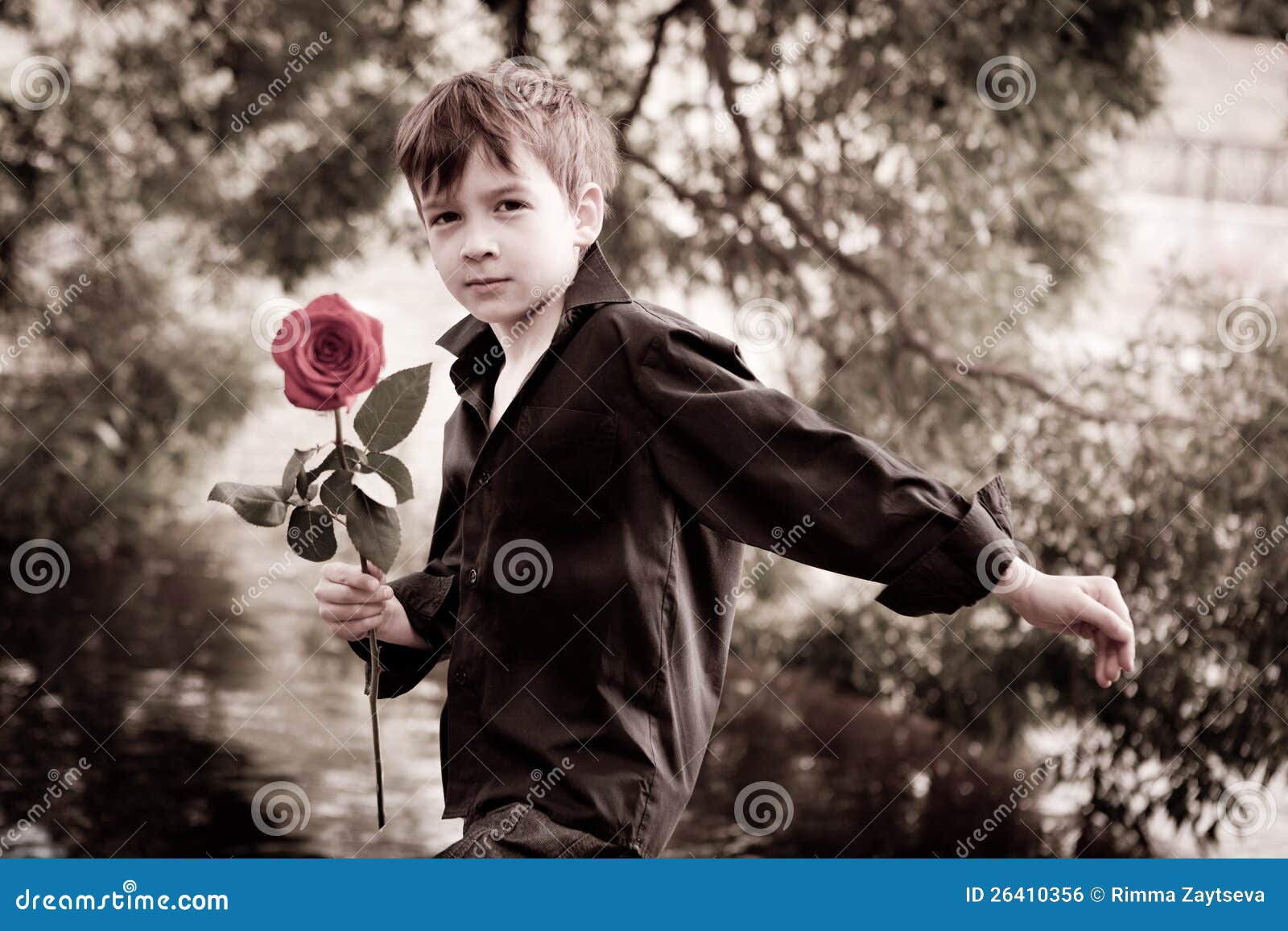 Boy with rose in his hand stock photo. Image of hair - 26410356