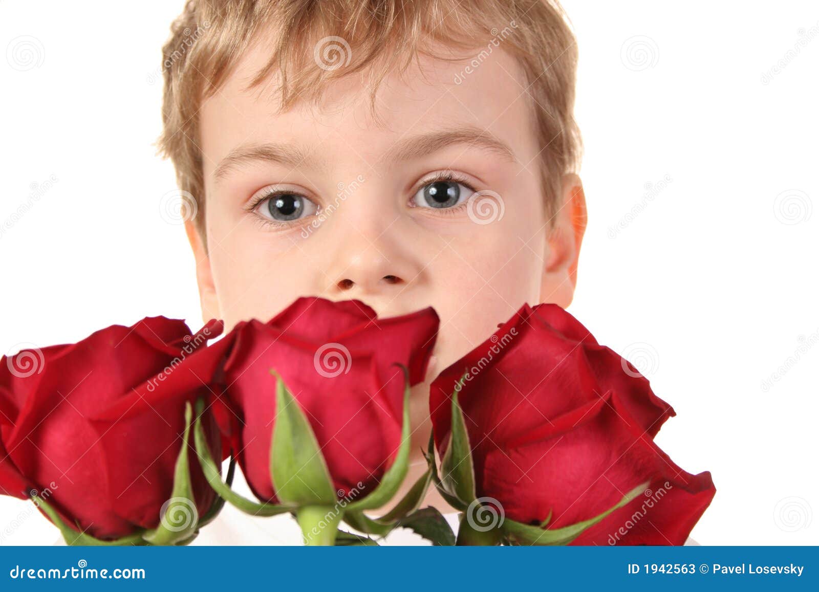 Boy with roses stock image. Image of confidence, perfume - 1942563