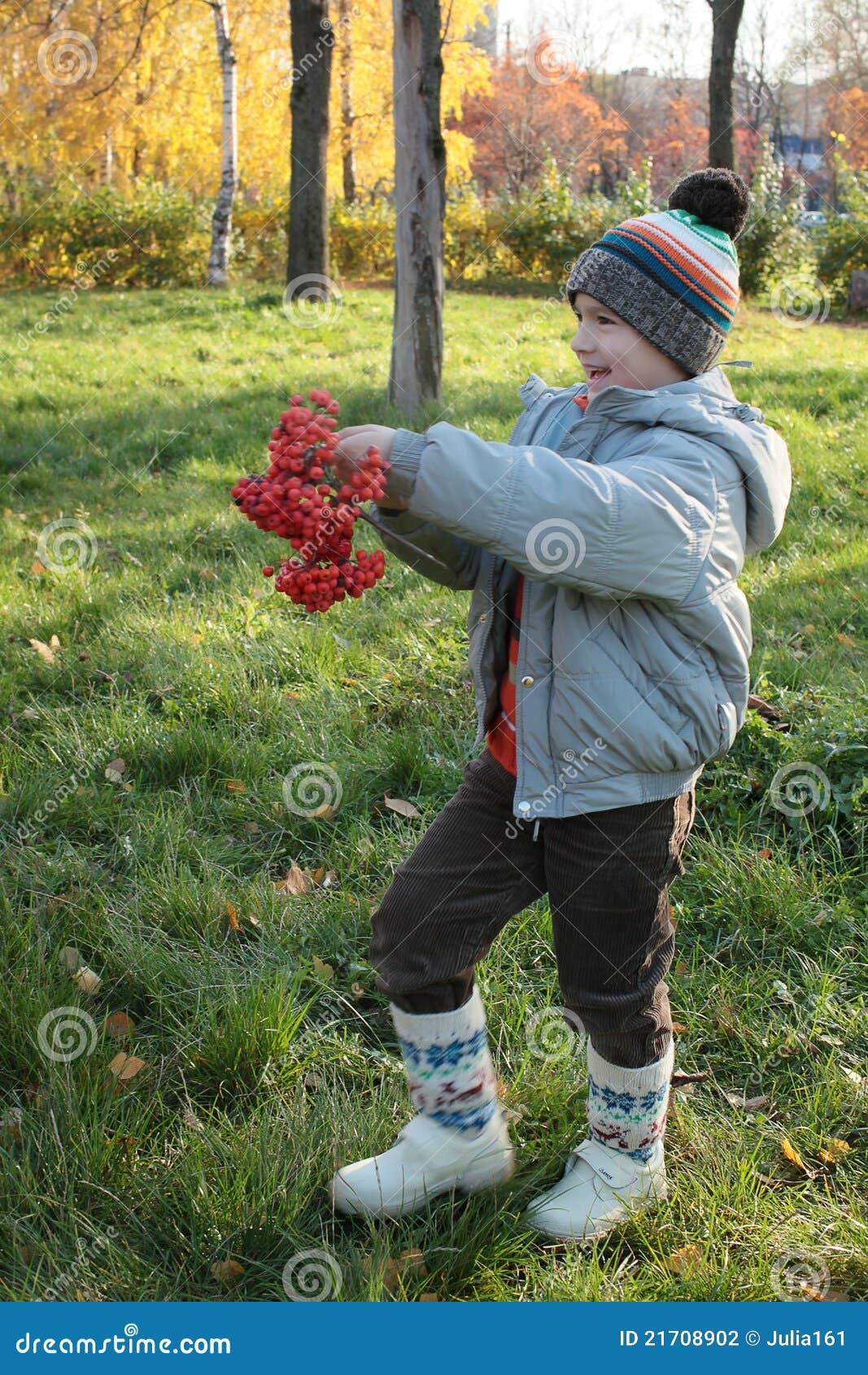 Boy with rowan berries stock photo. Image of woods, jacket - 21708902