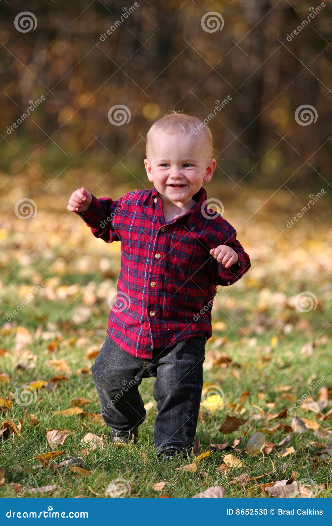 Boy Running in Autumn Leaves Stock Photo - Image of playing, play: 8652530