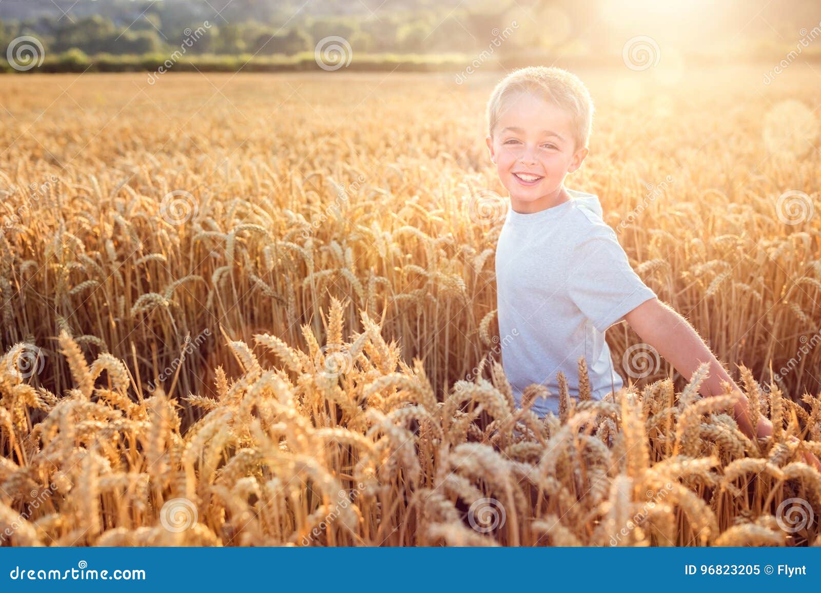 Boy Running and Smiling in Wheat Field in Summer Sunset Stock Image ...