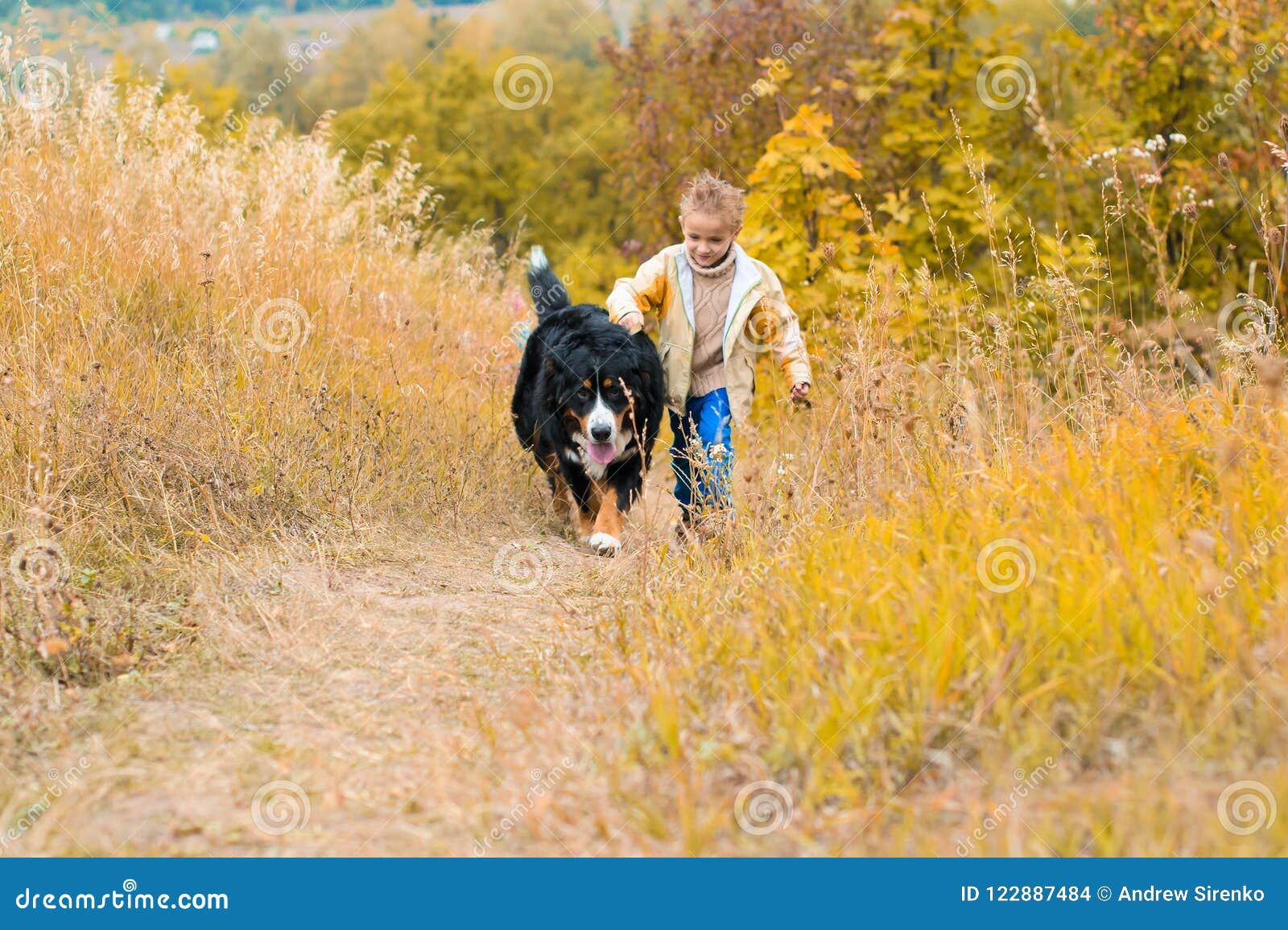 Boy Runs Around with Big Dog on Autumn Hills Stock Photo - Image of ... Boy Runs Around with Big Dog on Autumn Hills Stock Photo - Image of ...