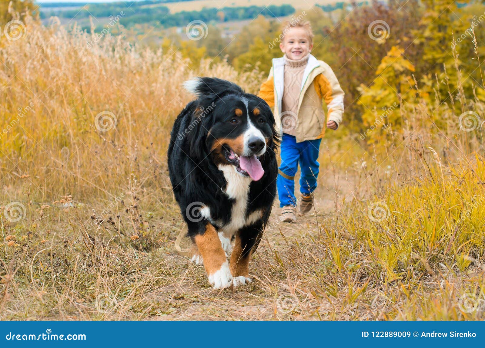 Boy Runs Around with Big Dog on Autumn Hills of Race Stock Image ... Boy Runs Around with Big Dog on Autumn Hills of Race Stock Image ...