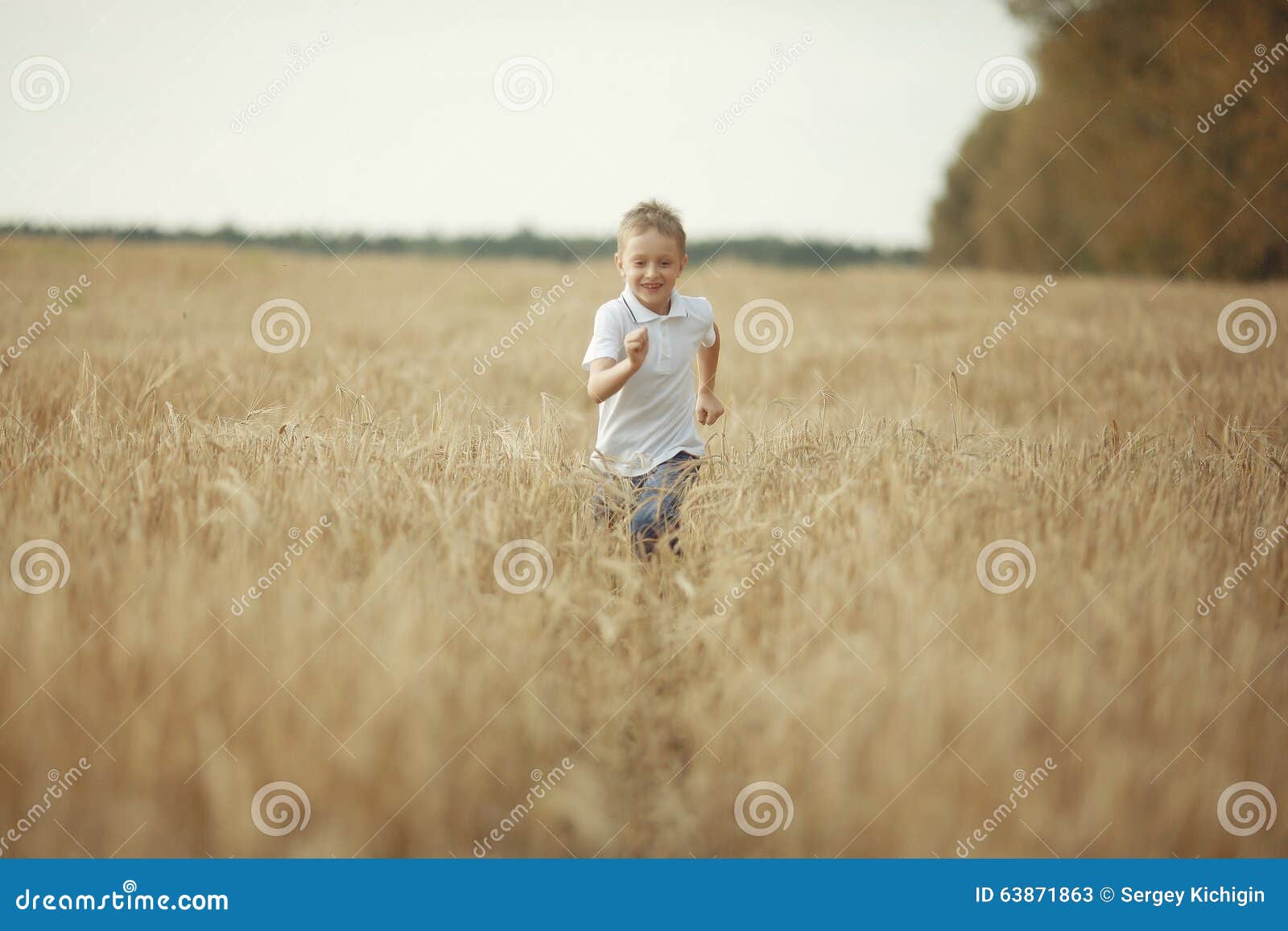Boy Runs through Wheat Field Stock Image - Image of farm, child: 63871863