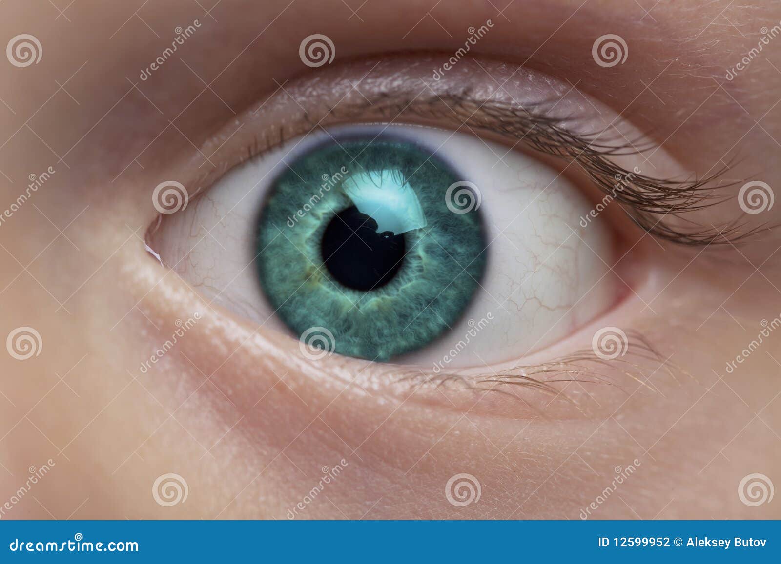 Boy s eye stock photo. Image of look, caucasian, camera - 12599952