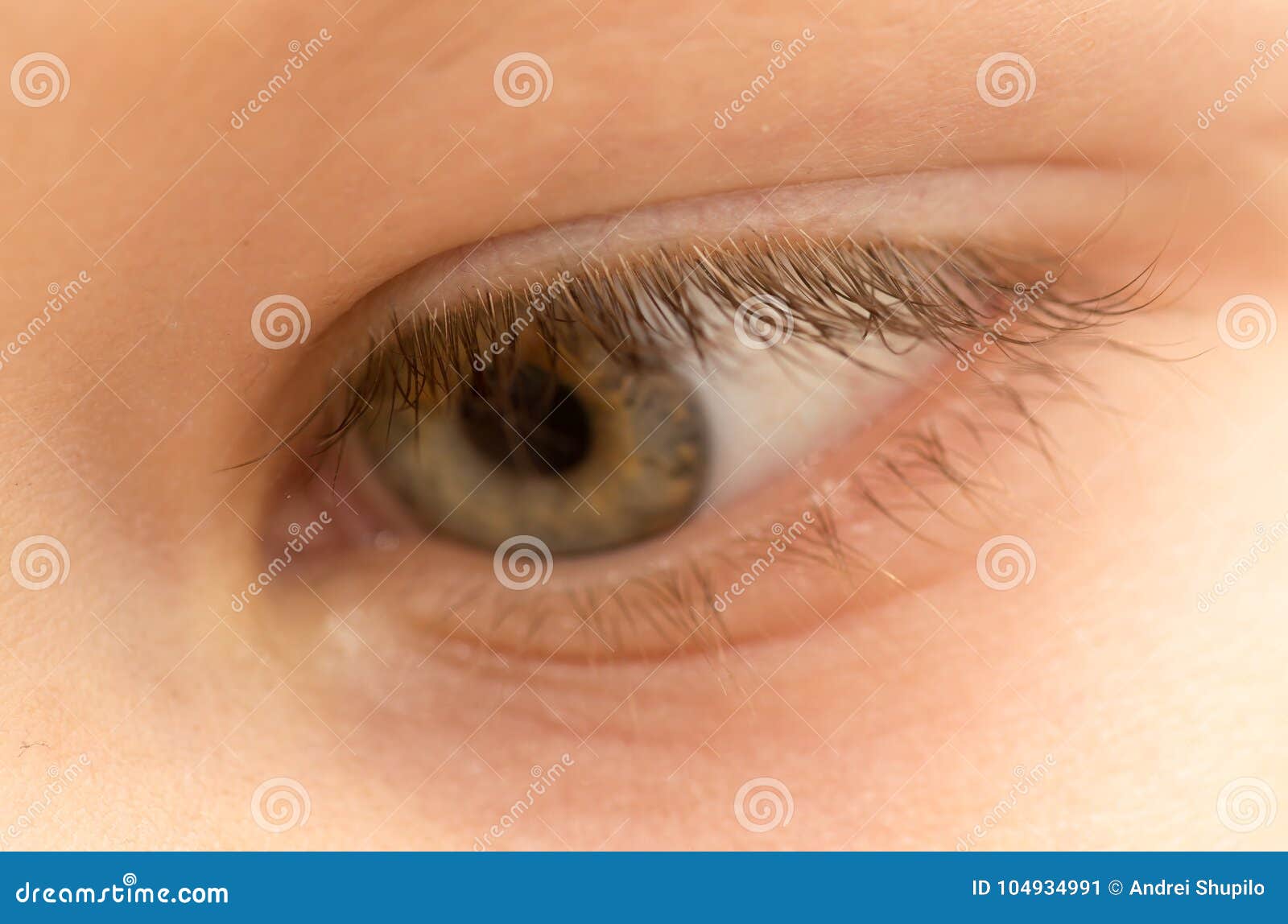 The boy`s eye. stock image. Image of blue, eyes, innocence - 104934991