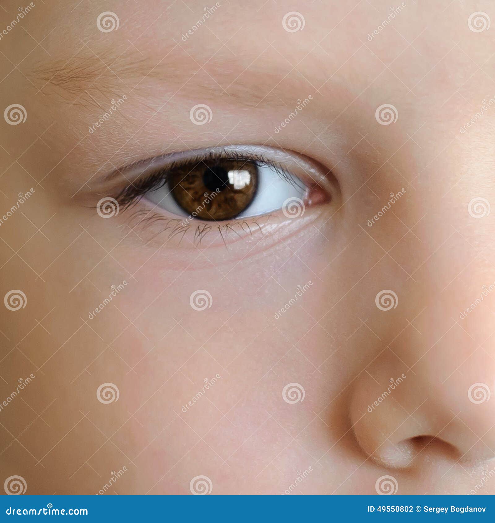 The boy s eyes stock photo. Image of observe, portrait - 49550802