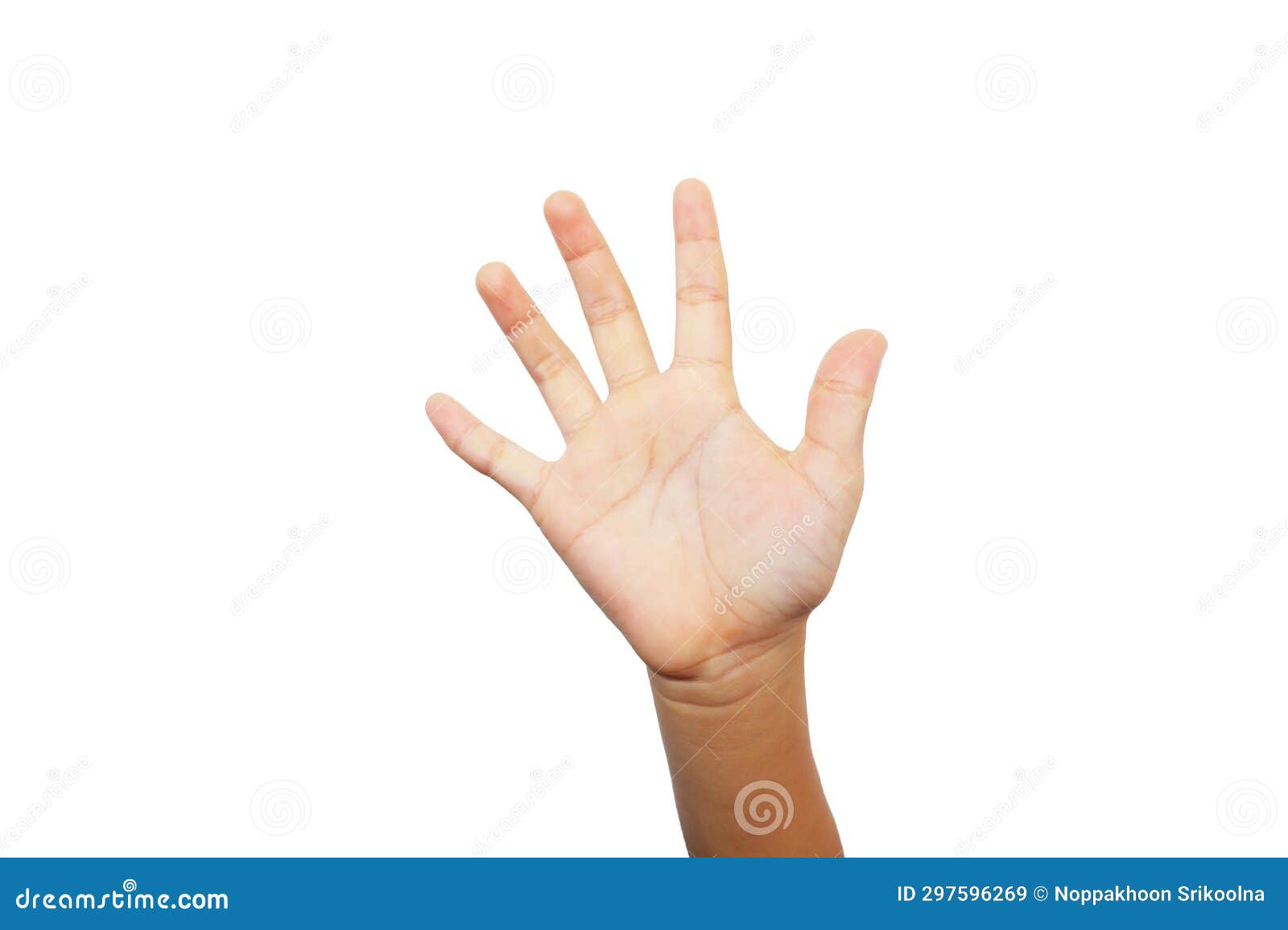 Boy S Hands Making Gestures on White Background Stock Image - Image of ...