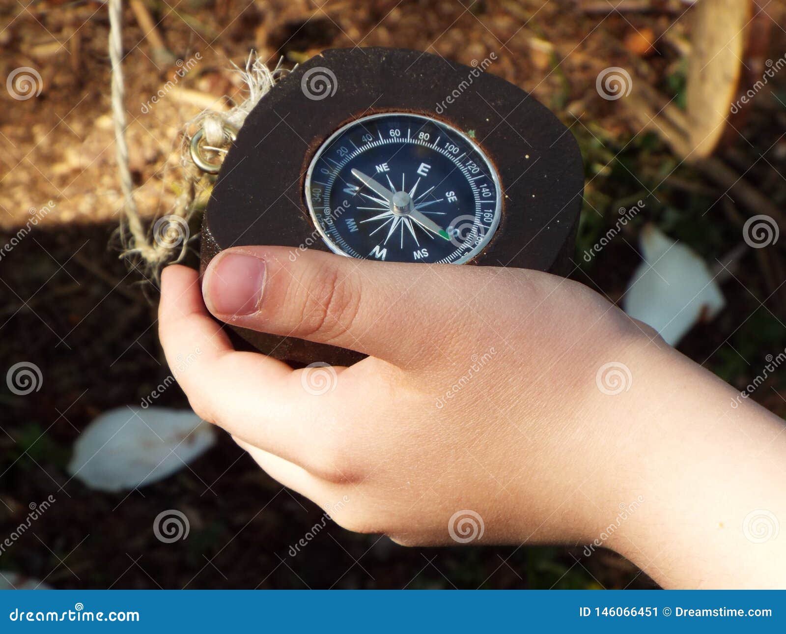Navigational Compass Held in Hand Stock Image - Image of tree, location ...