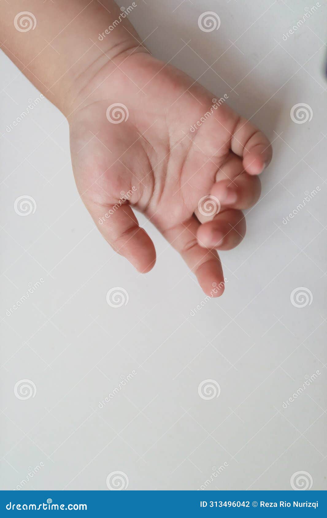 Boy S Palm in White Background Stock Photo - Image of background ...