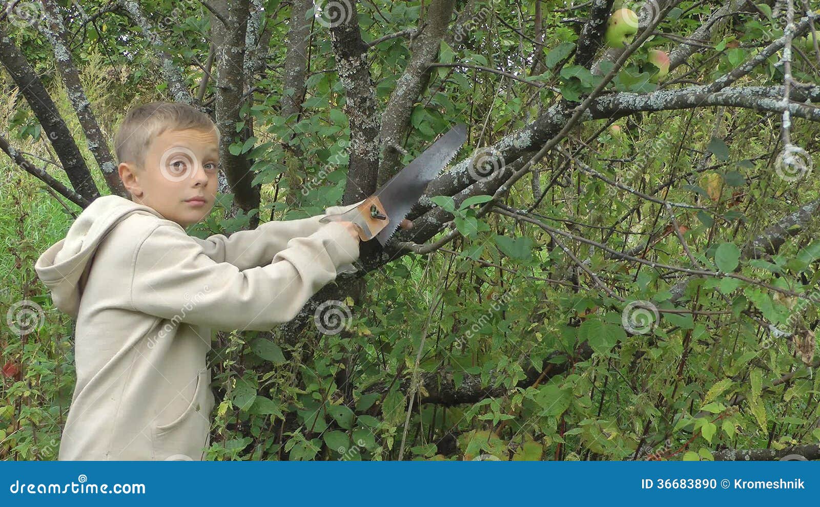 Boy saws. stock video. Video of summer, gardening, cutter - 36683890