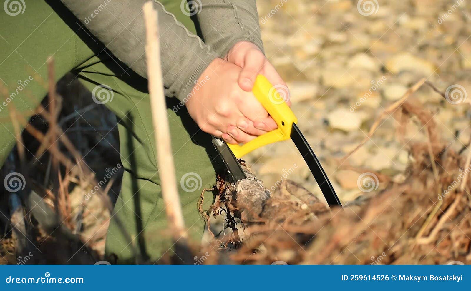 A Boy Saws a Tree with a Saw Stock Footage - Video of hand, house ...