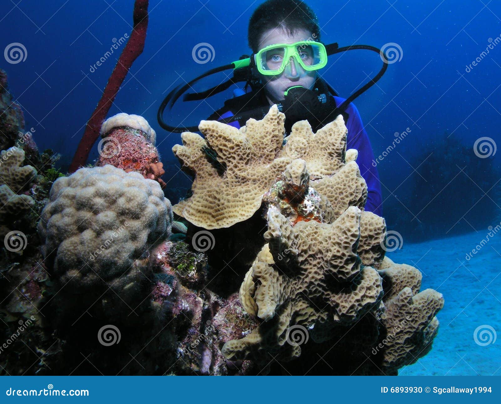 Boy scuba diver stock photo. Image of male, midst, learn - 6893930