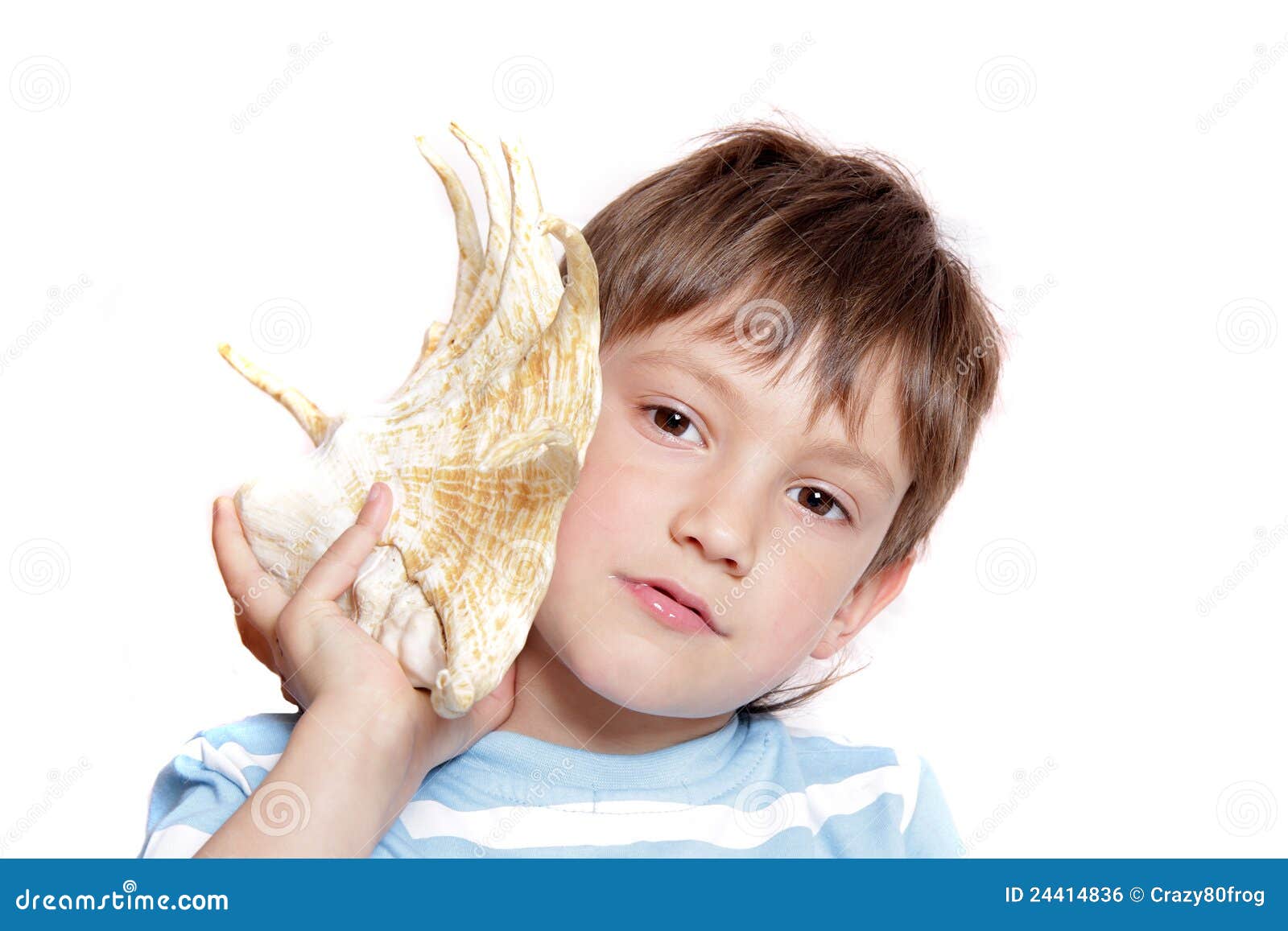Boy with Sea Shell Over White Stock Photo - Image of people, human ...