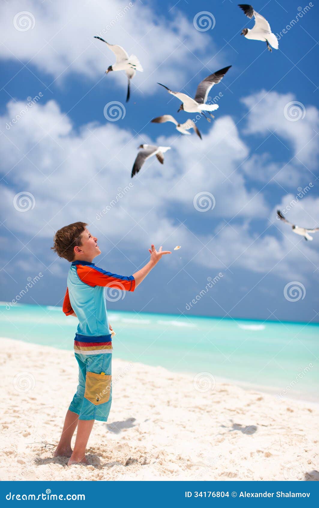 Boy and seagulls stock photo. Image of seagull, vacation - 34176804