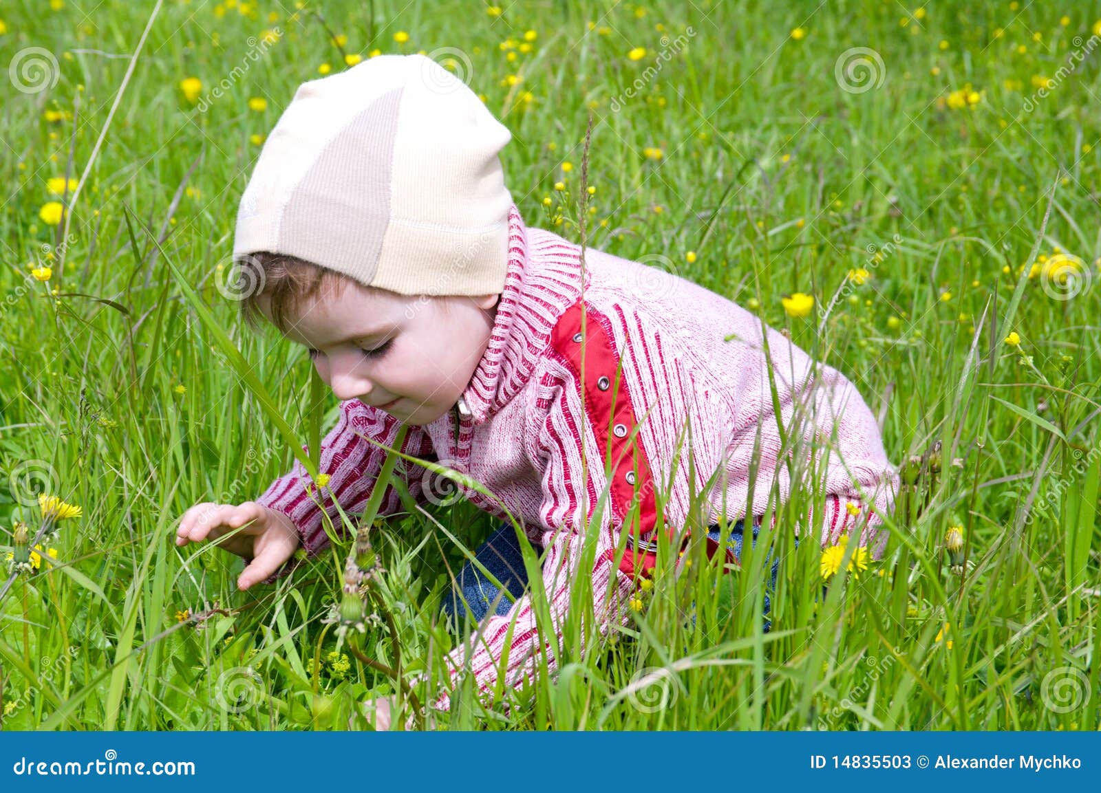 Boy searches for bug stock image. Image of happiness - 14835503
