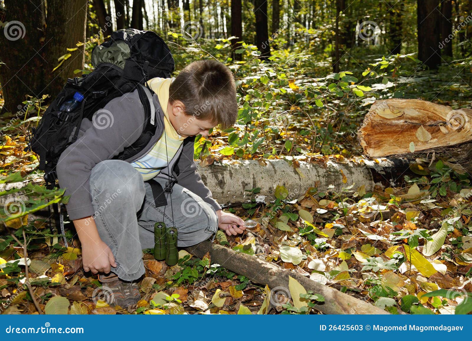 Boy Setting Fire with Magnifying Glass Stock Image - Image of nature ...