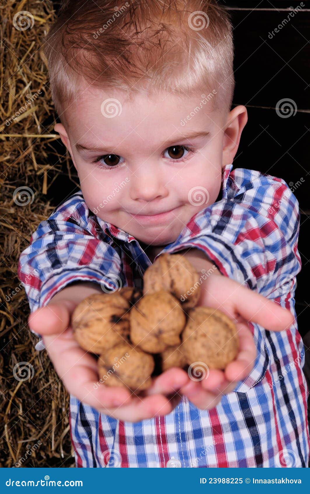 Boy shares nuts stock image. Image of little, cheerful - 23988225