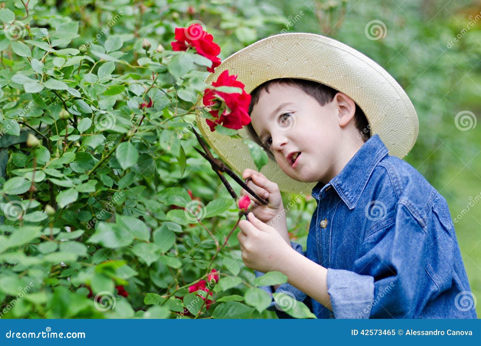 Boy with shears gardener stock image. Image of scissors - 42573465