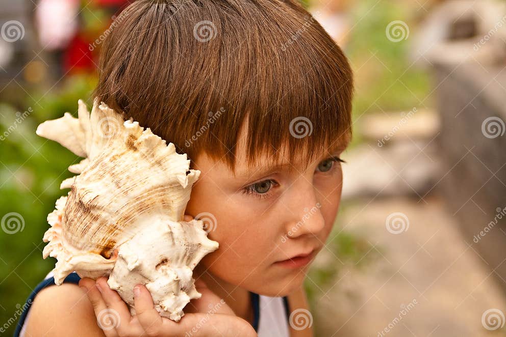 Boy with a shell stock image. Image of keen, head, portrait - 17400475