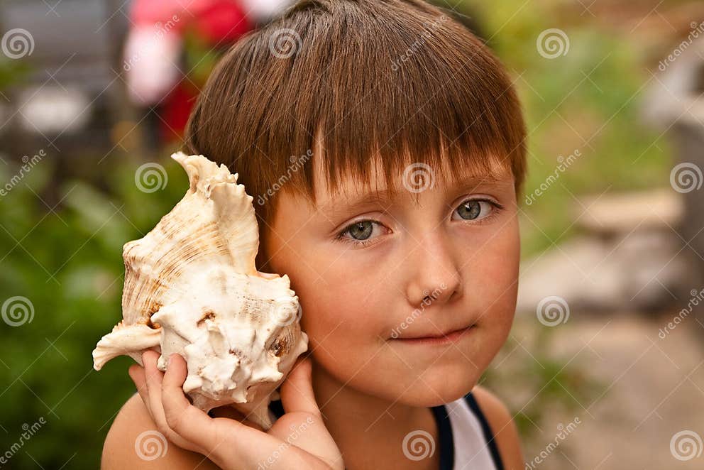 Boy with a shell stock photo. Image of concentrated, schoolboy - 17400522