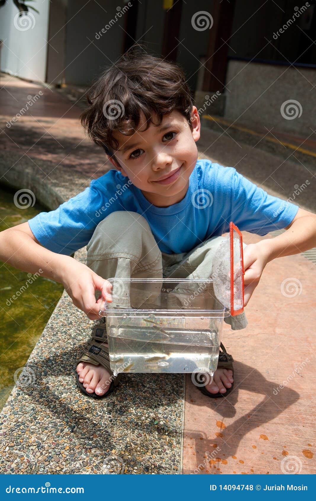 Boy Showing Off His Little Container of Fish Stock Photo - Image of ...