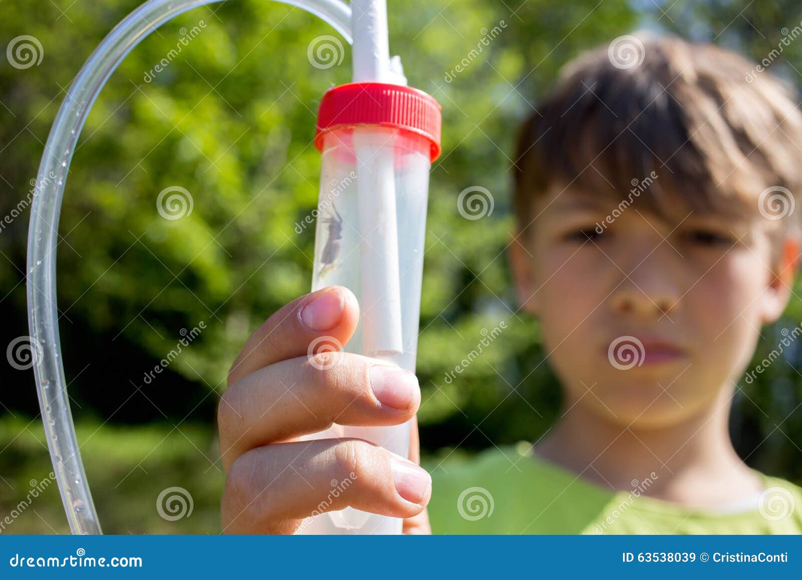 Boy Shows His Spider Just Captured Stock Image - Image of commitment ...