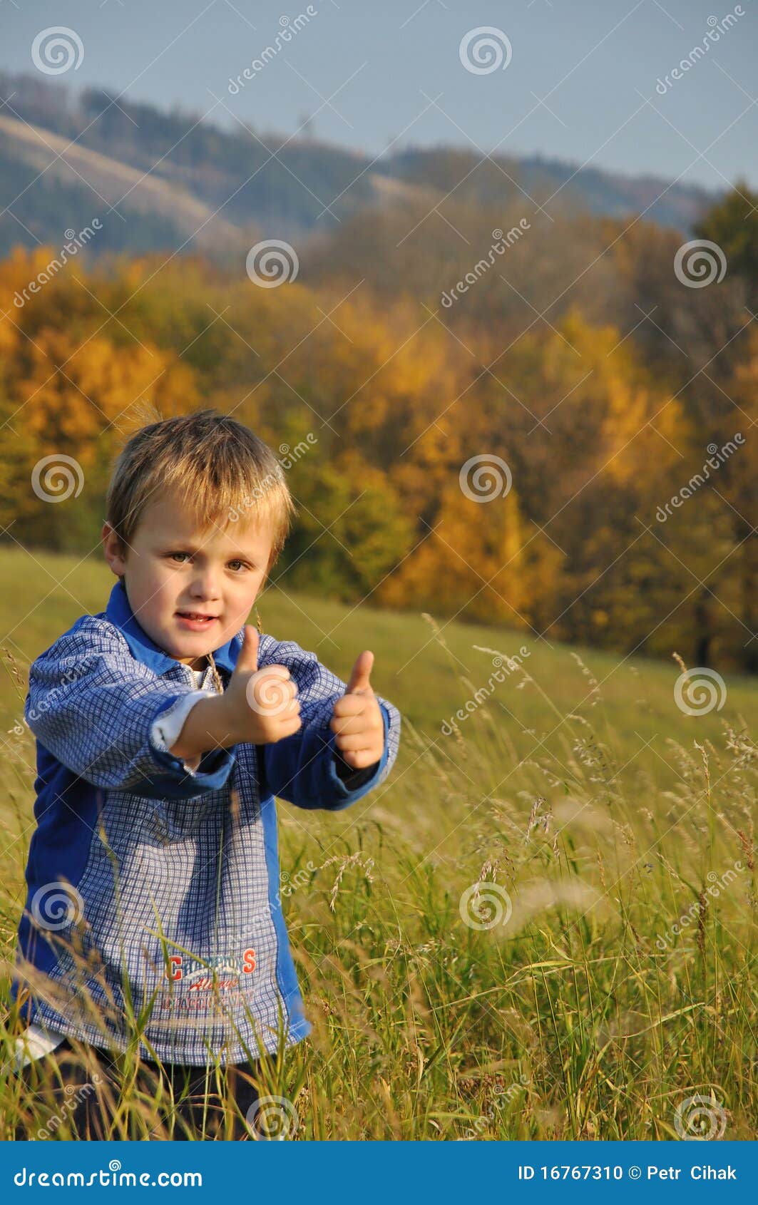Boy signing ok stock photo. Image of landscape, tree - 16767310
