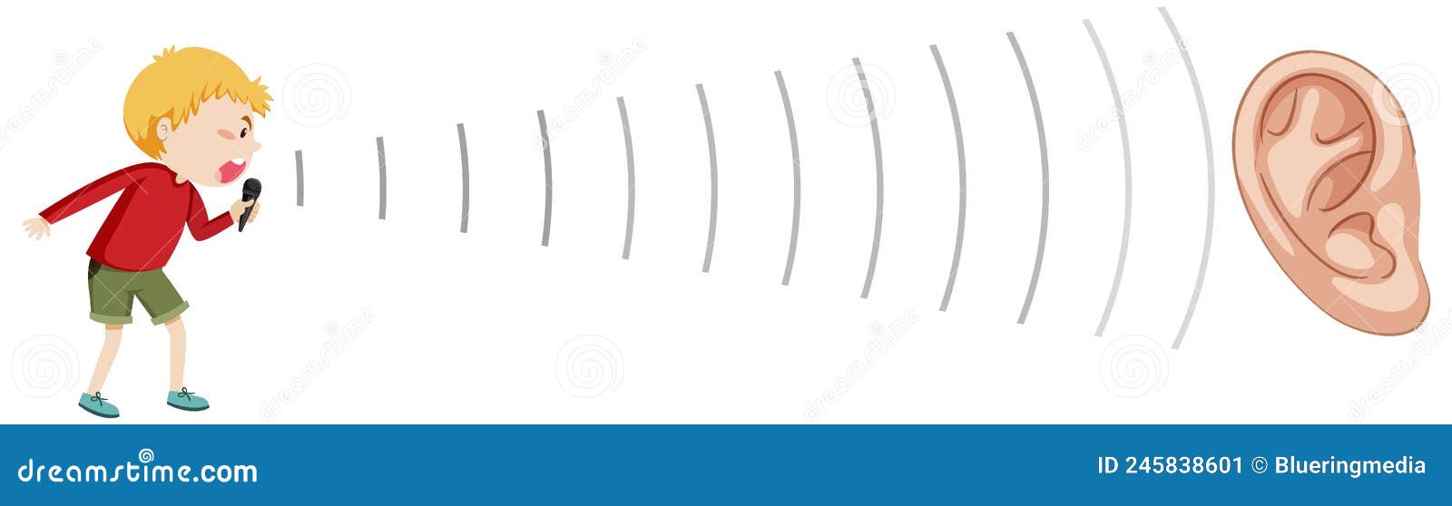 Transverse Wave Properties Of Wavelength Cartoon Vector | CartoonDealer ...