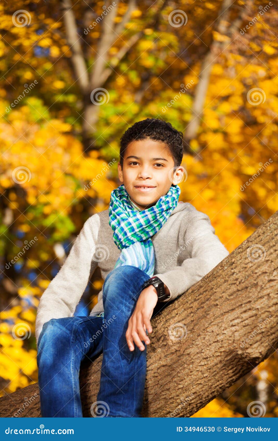 Boy sit on the tree stock photo. Image of gold, climb - 34946530