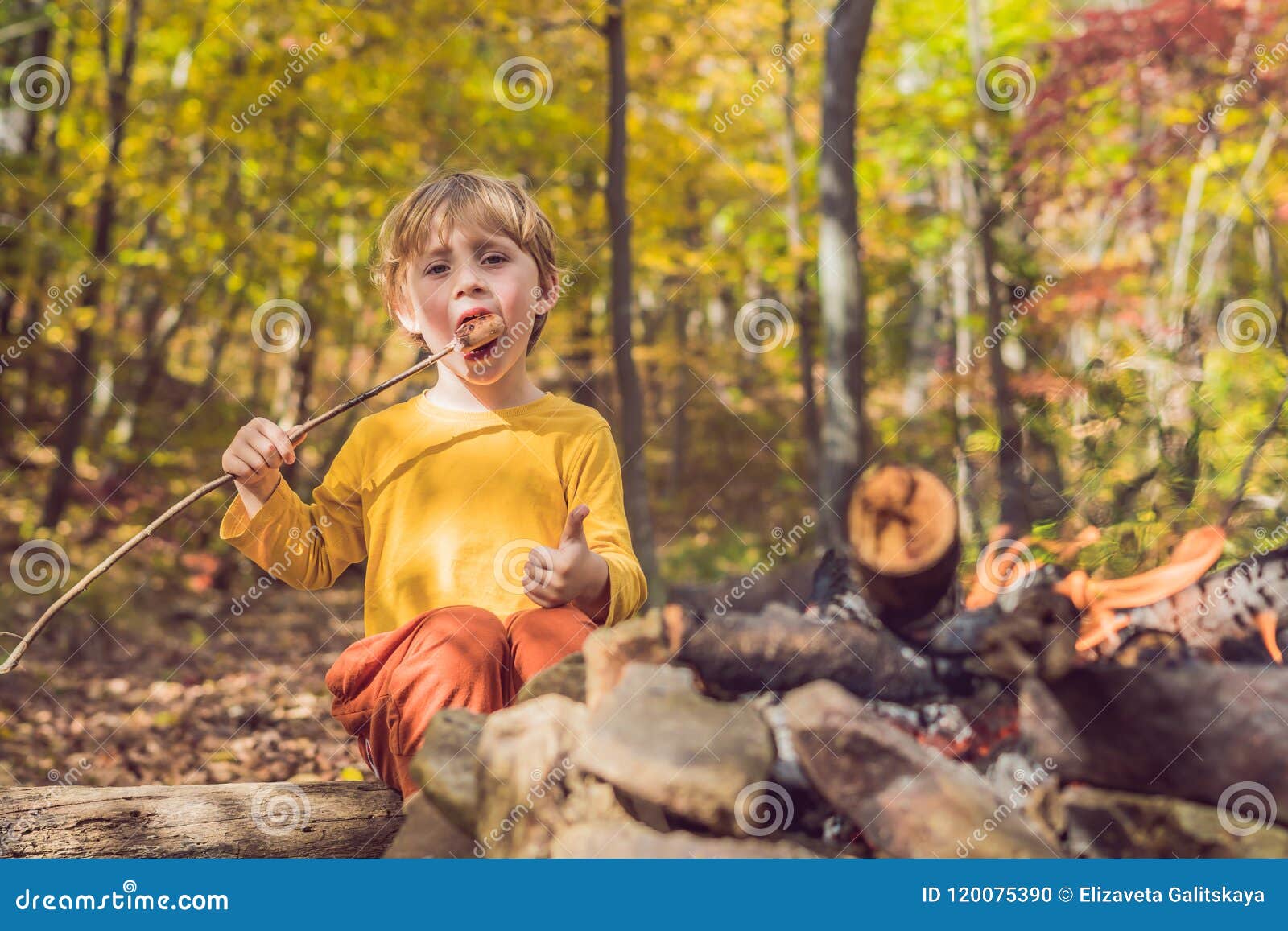 The Boy is Sitting at the Camp Fire and Eating a Fried Sausage Stock ...
