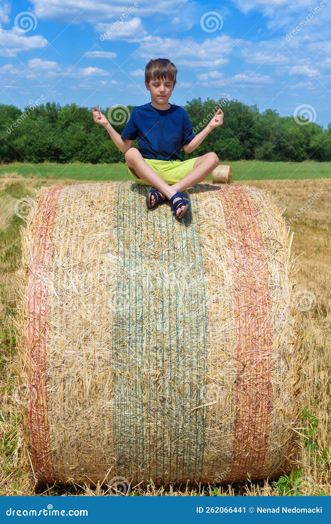 The Boy is Sitting on Golden Hay Bales on the Field Stock Image - Image ...