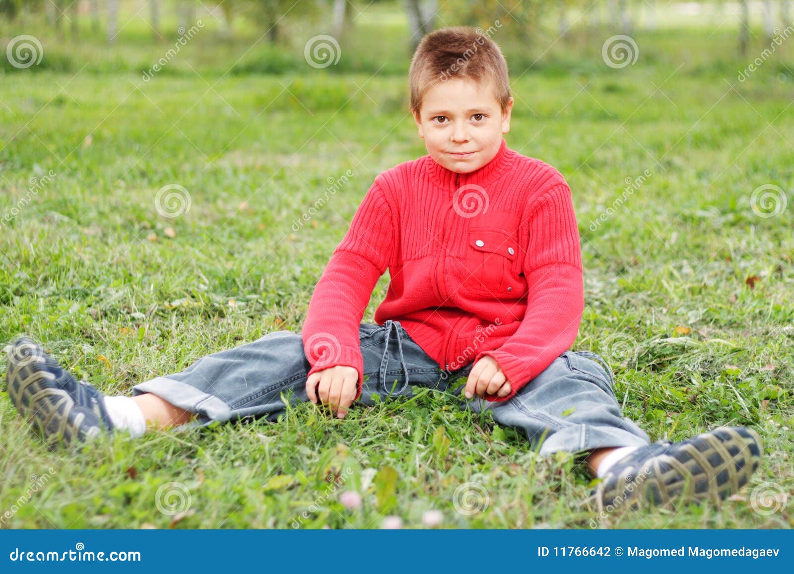 Boy sitting on grass stock photo. Image of meadow, outdoors - 11766642