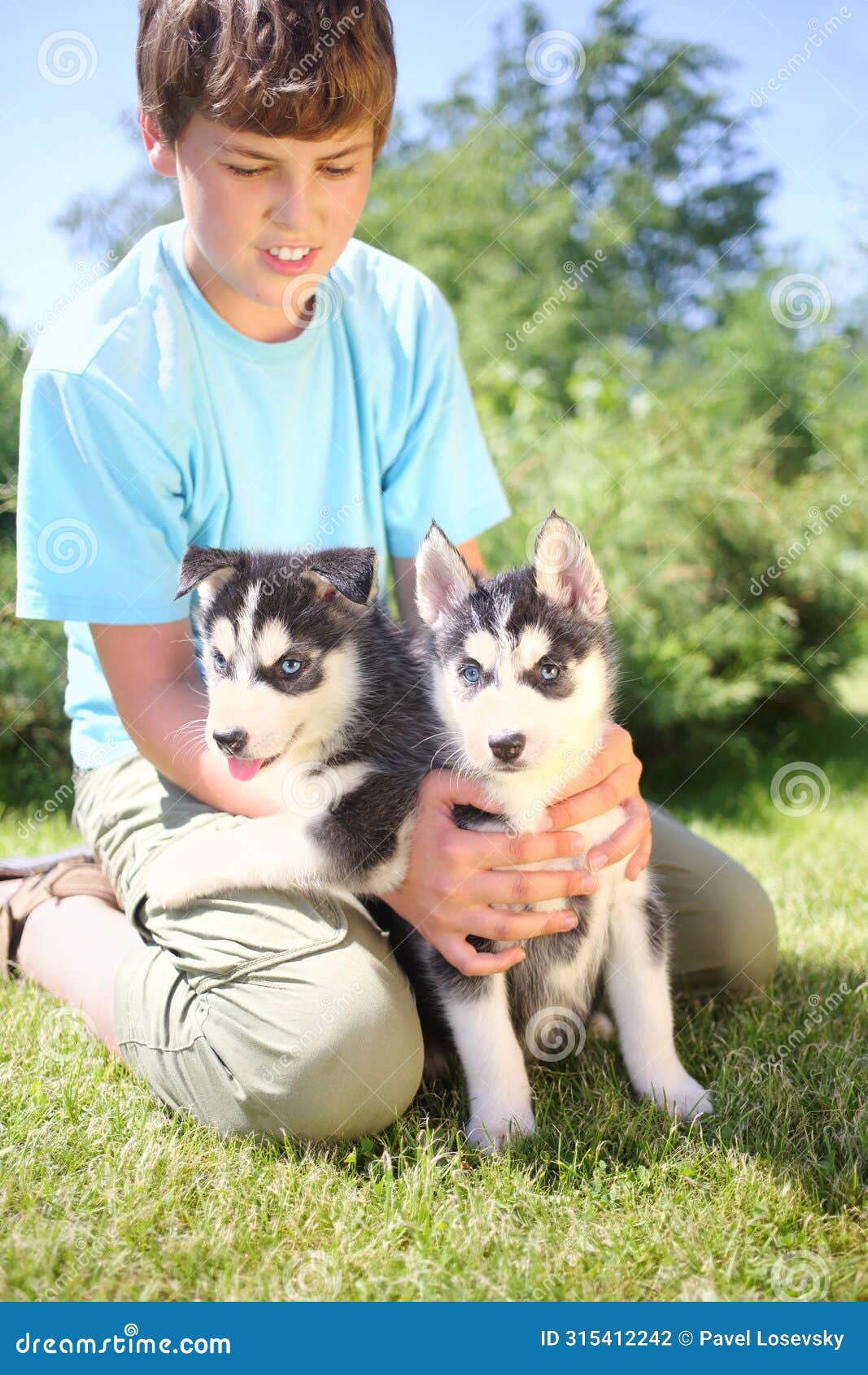 Boy Sitting on the Grass with Two Puppies Stock Photo - Image of grass ...