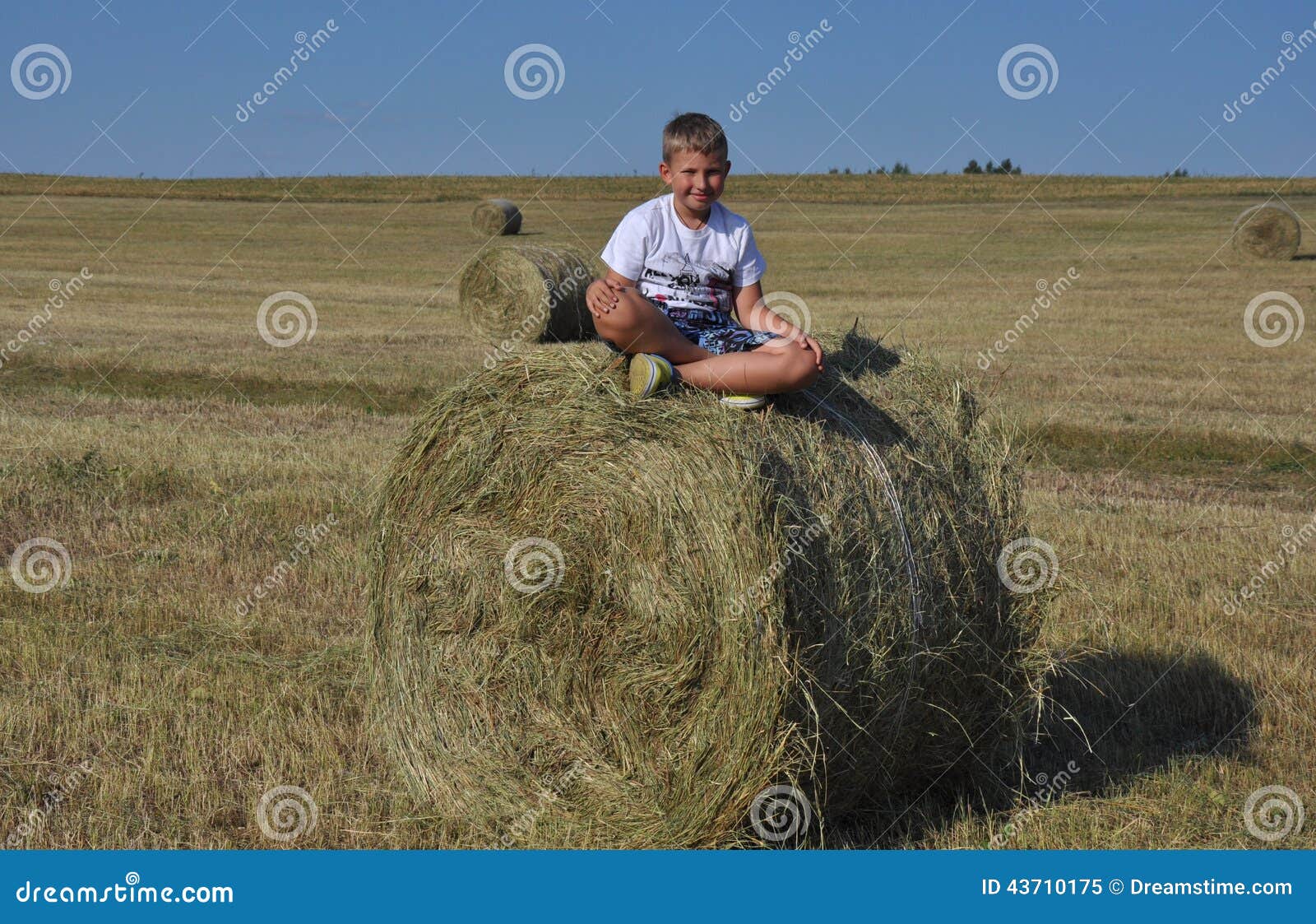 Boy Sitting on Haystack in the Meadow Stock Image - Image of father ...