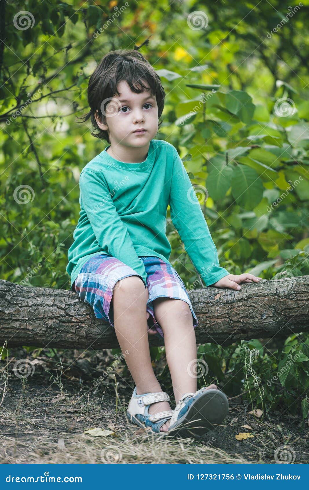 The Boy is Sitting on a Log. Stock Photo - Image of caucasian, face ...