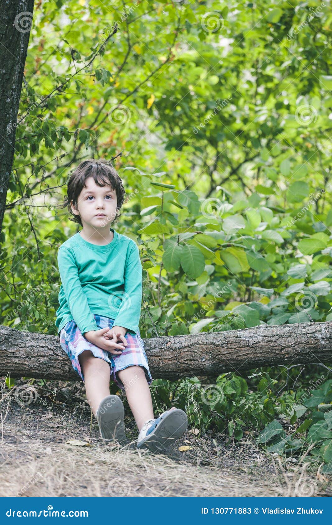 The Boy is Sitting on a Log. Stock Image - Image of portrait, people ...