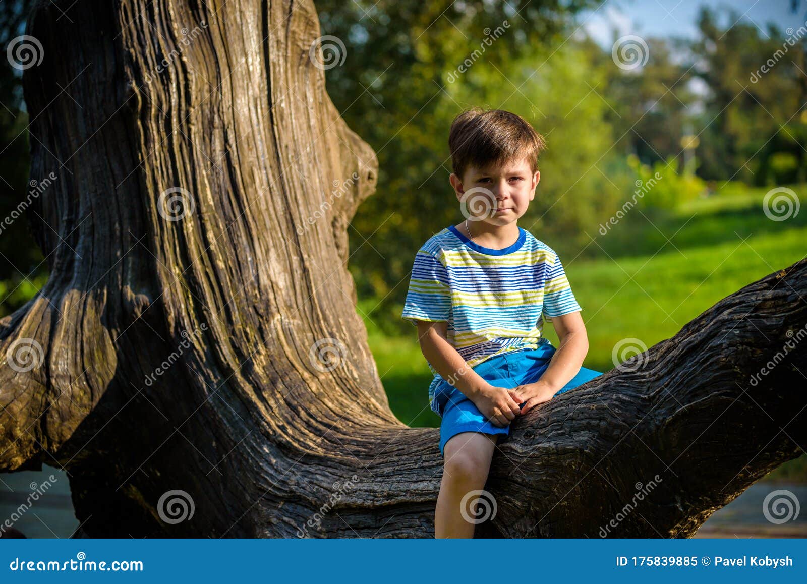 The Boy is Sitting on a Log. the Child Walks in the Summer Forest Stock ...