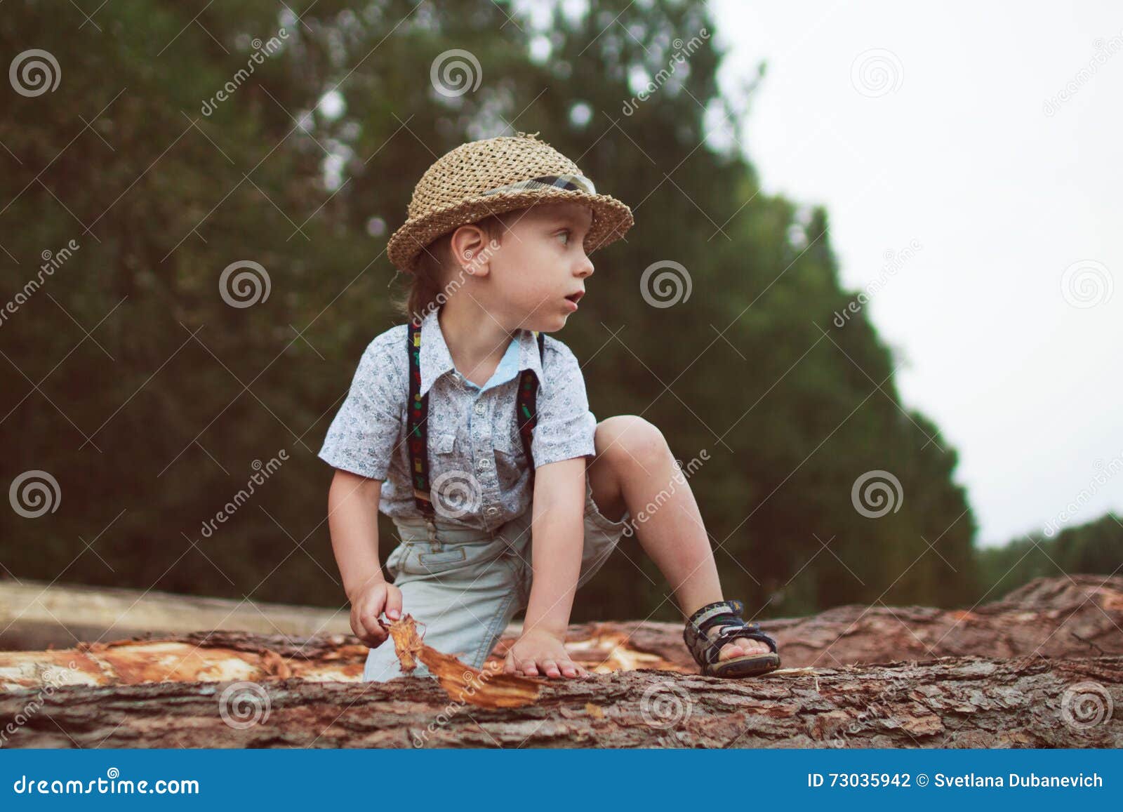 Boy sitting on logs stock photo. Image of rural, beautiful - 73035942