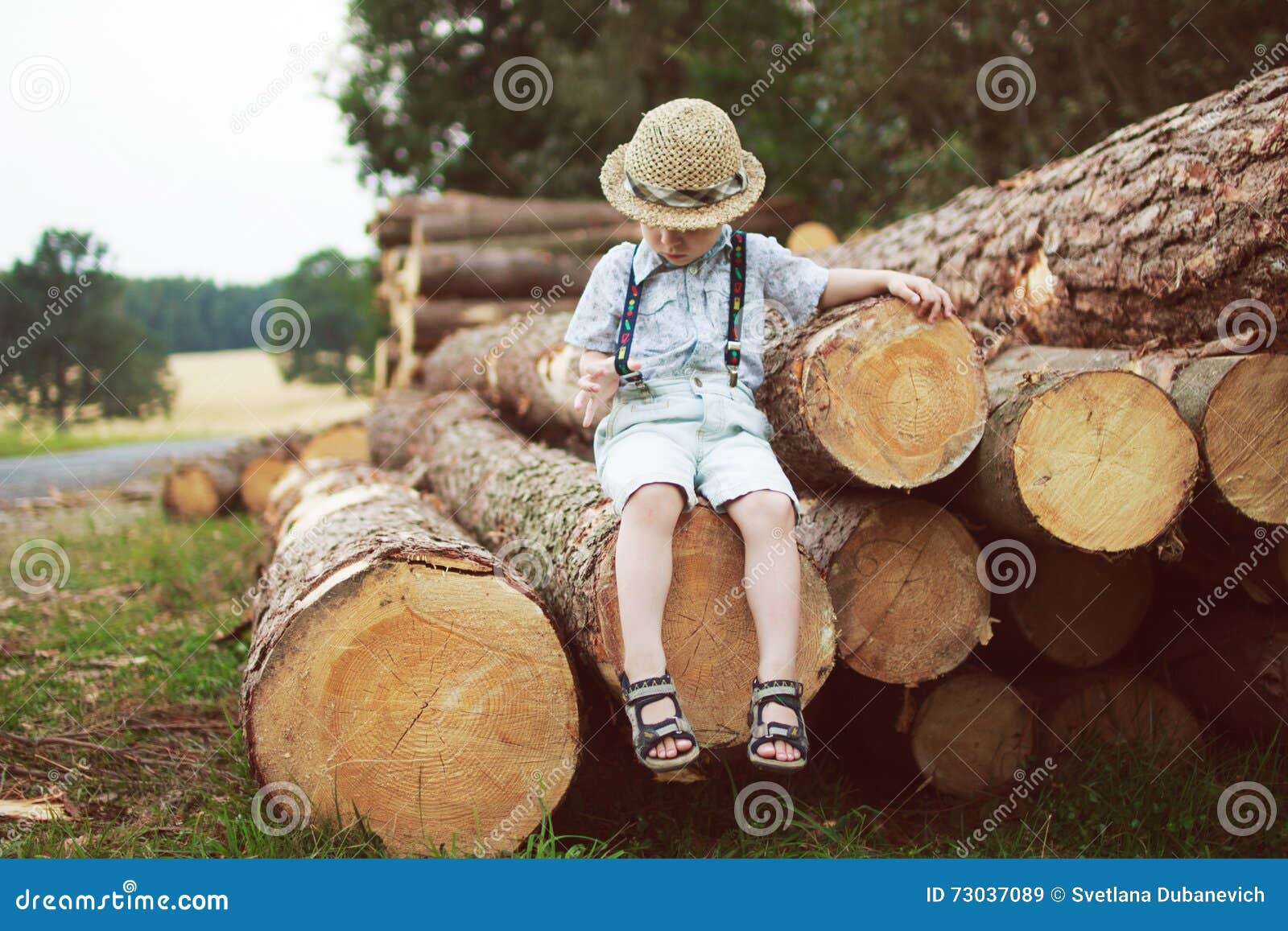 Boy sitting on logs stock image. Image of rural, child - 73037089