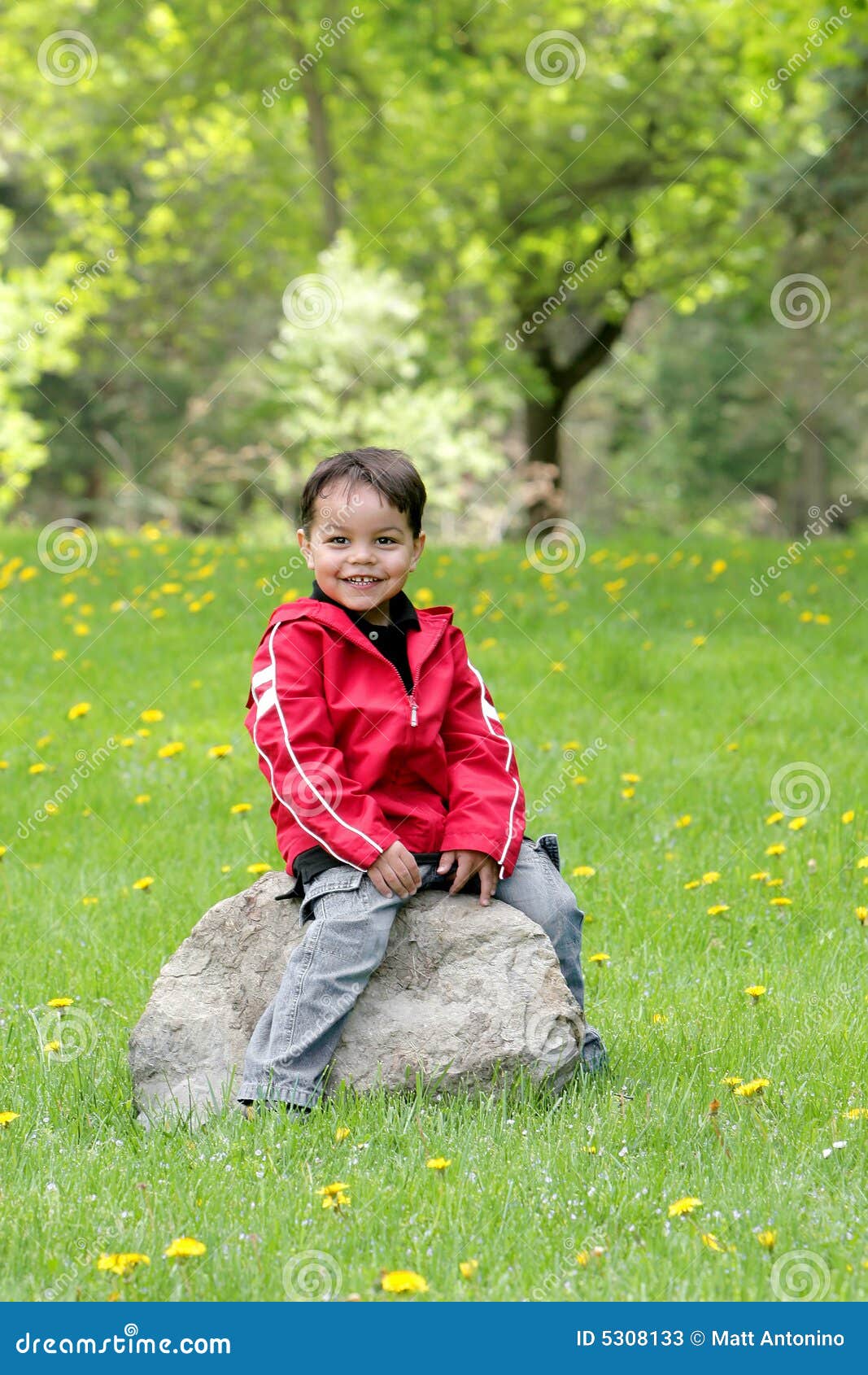 Boy sitting on a rock stock image. Image of rocks, green - 5308133