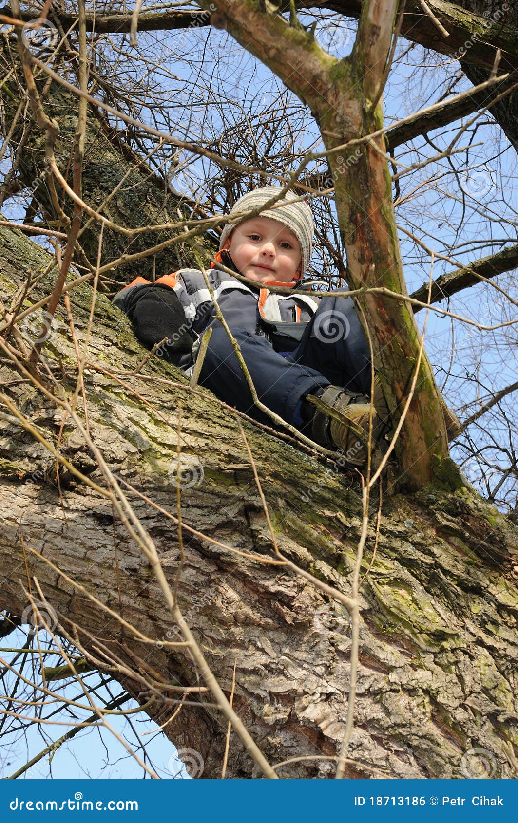 Boy sitting on tree stock photo. Image of child, sitting - 18713186