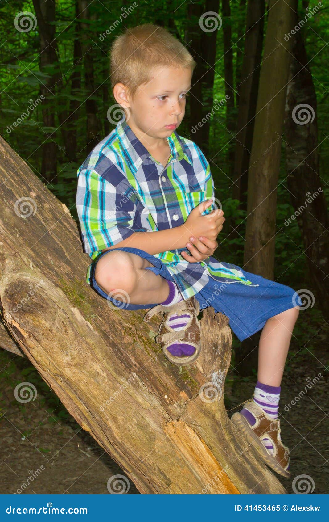 Boy sitting by a tree stock image. Image of happy, family - 41453465