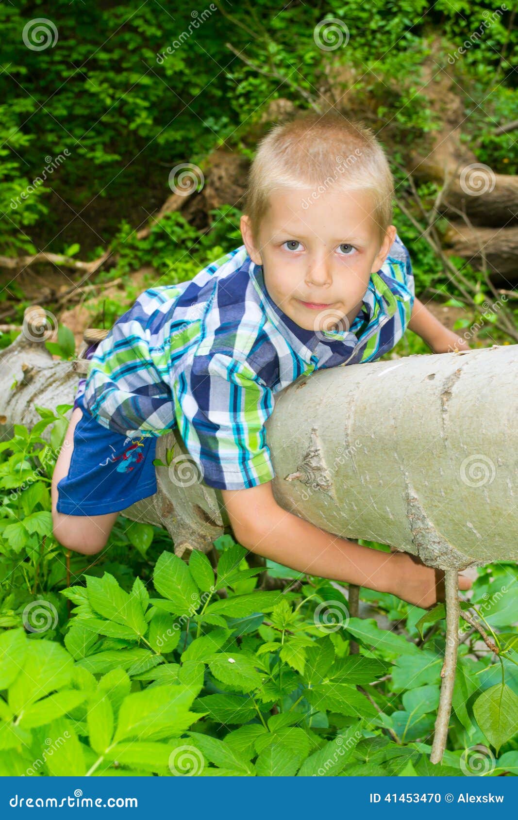 Boy sitting by a tree stock photo. Image of climbing - 41453470