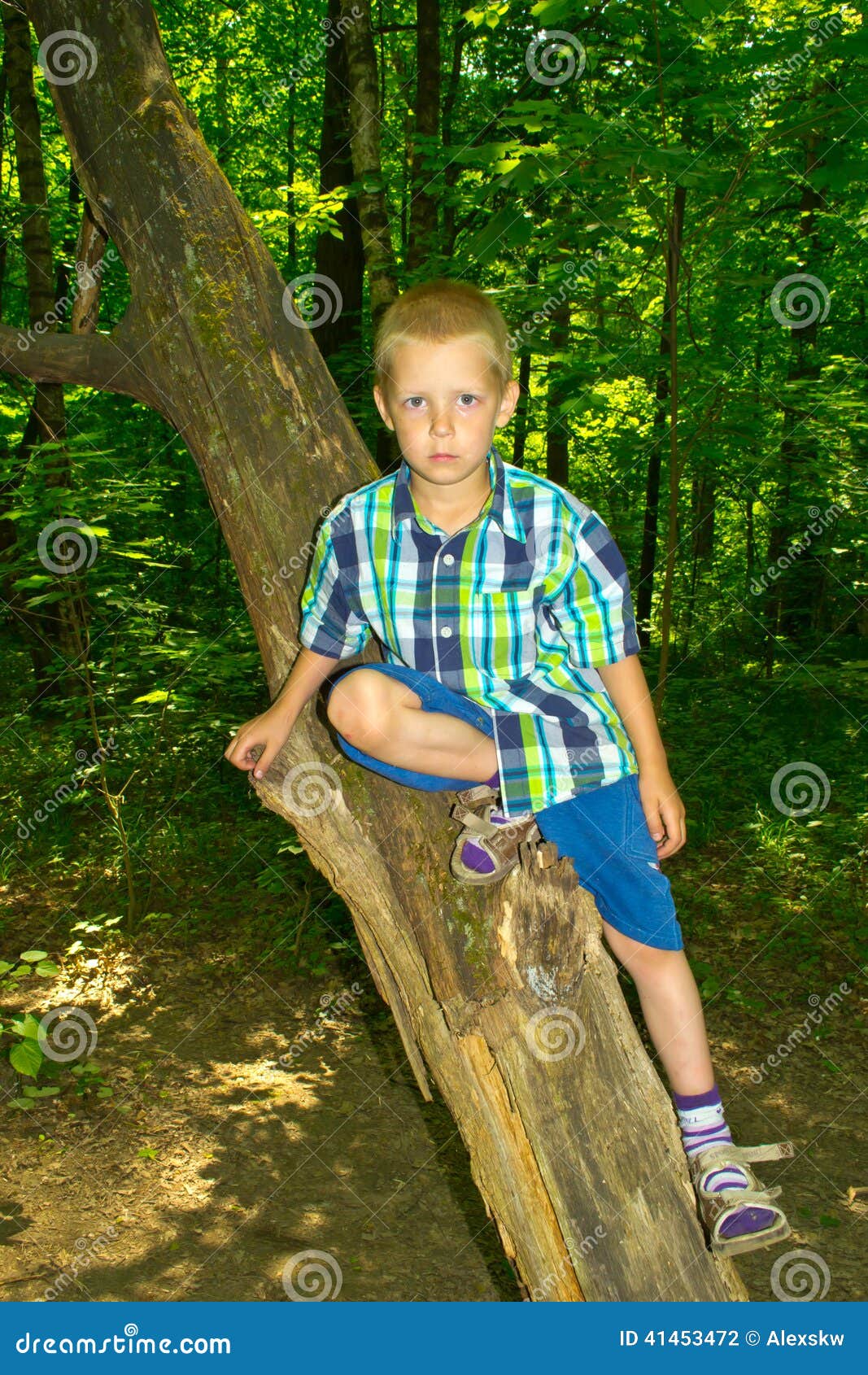 Boy sitting by a tree stock photo. Image of climbing - 41453472