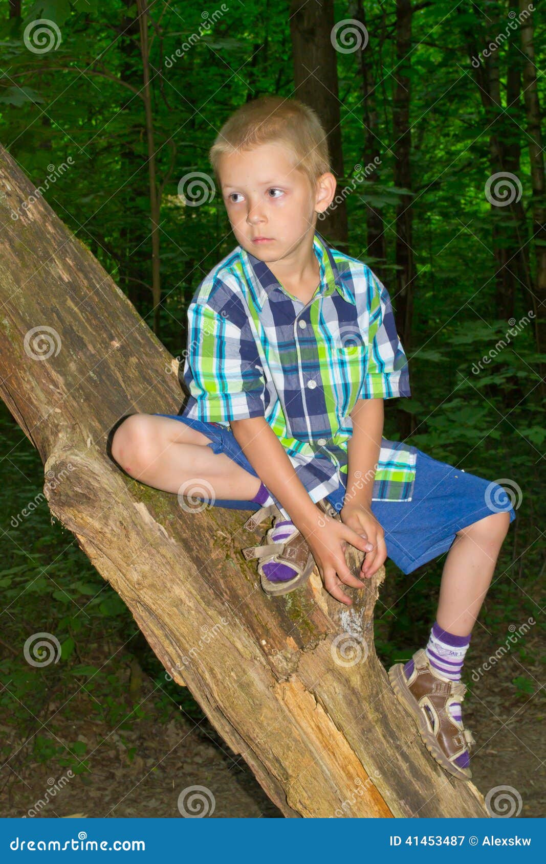 Boy sitting by a tree stock image. Image of green, child - 41453487